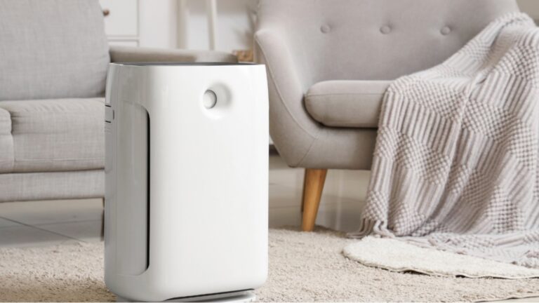 Indoor Air Quality Solutions Every Homeowner Should Consider ...